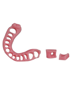 Gingiva3D_Model – Garreco™ Dental Lab Products